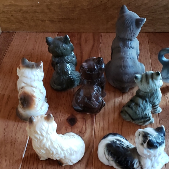 Accents | Cat Bundle | Poshmark